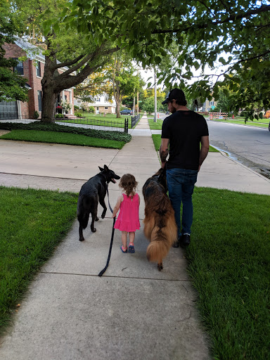 Safe Harbor Humane Society | Rating: 4.3 | 537 Reviews | 7811 60th Ave ...