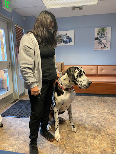 Peninsula Humane Society & SPCA | Rating: 4.6 | 417 Reviews | 12 ...