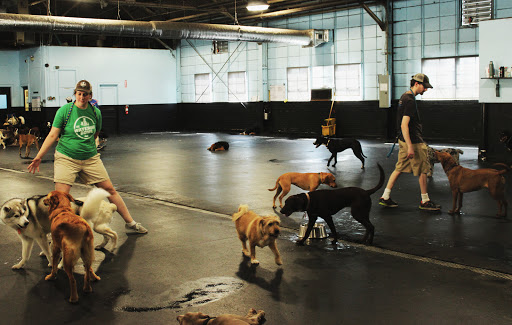 Humane Society of Missouri | Rating: 4.5 | 1253 Reviews | 1201 Macklind ...