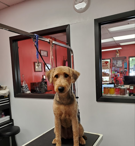 Animal Hospital of Rowlett Veterinary Clinic | Rating: 4.7 | 323 ...