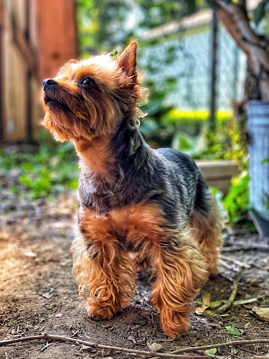 Safe Harbor Humane Society | Rating: 4.3 | 537 Reviews | 7811 60th Ave ...