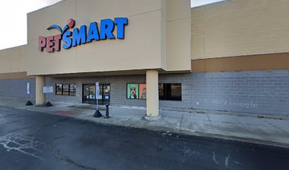 All About Animals Rescue | Rating: 4.5 | 740 Reviews | 507 W Atherton ...