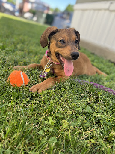 Wright-Way Rescue | Rating: 4.0 | 1174 Reviews | 5915 Lincoln Ave ...