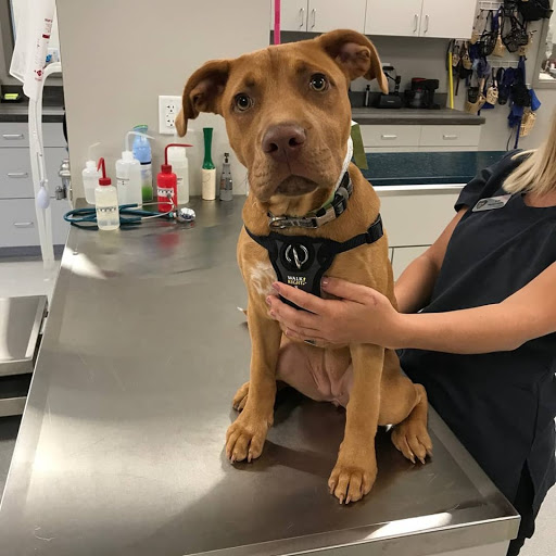 Safe Harbor Humane Society | Rating: 4.3 | 537 Reviews | 7811 60th Ave ...