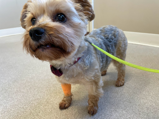 Operation Snip | Rating: 4.6 | 27 Reviews | 195 2nd St, Troy, NY 12180 ...