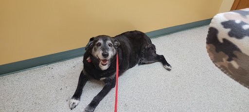 Pets R Inn | Rating: 4.1 | 284 Reviews | 2800 S Columbia Rd 123, Grand ...