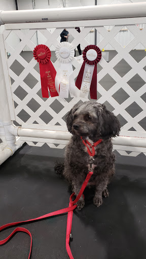 Keystone Canine Club | Rating: 4.7 | 34 Reviews | 5167 Brownsville Rd ...