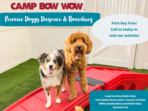 Bandana Rx (previously Pet VM) | Rating: 4.6 | 255 Reviews | 5600 ...