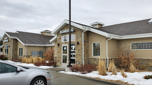 Bayview Animal Hospital Layton | Rating: 4.4 | 303 Reviews | 2215 W ...