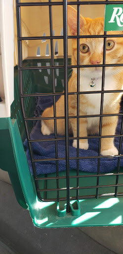 Worcester Animal Rescue League | Rating: 4.6 | 617 Reviews | 139 Holden ...