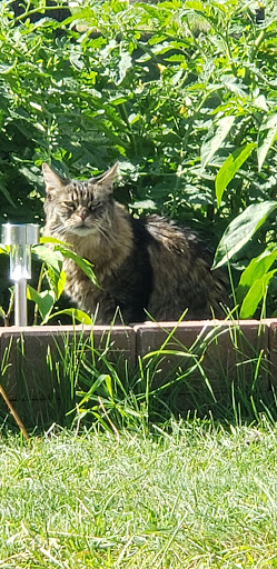 Pets R Inn | Rating: 4.1 | 284 Reviews | 2800 S Columbia Rd 123, Grand ...