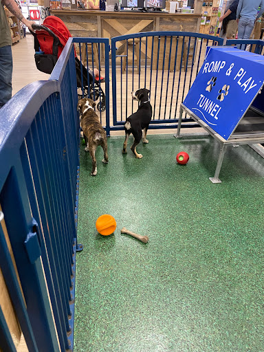 Black Dog Animal Rescue | Rating: 4.7 | 171 Reviews | 2407 E 9th St ...