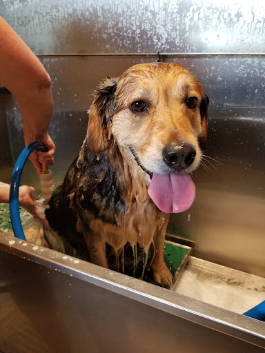 SpayToday Healthy Pet Center | Rating: 4.6 | 837 Reviews | 1401 Ammons ...