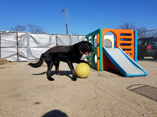 Humane Society of Missouri | Rating: 4.5 | 1253 Reviews | 1201 Macklind ...