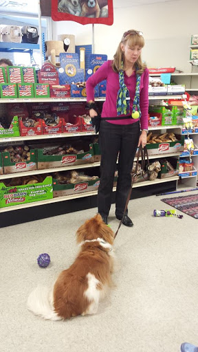 Wiggles Pet Resort | Rating: 4.7 | 109 Reviews | 300 Baldwin Place Rd, Mahopac, NY 10541 ...