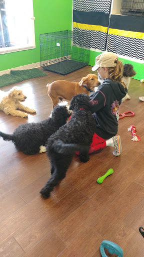 Pets R Inn | Rating: 4.0 | 505 Reviews | 3902 13th Ave S 3701, Fargo ...