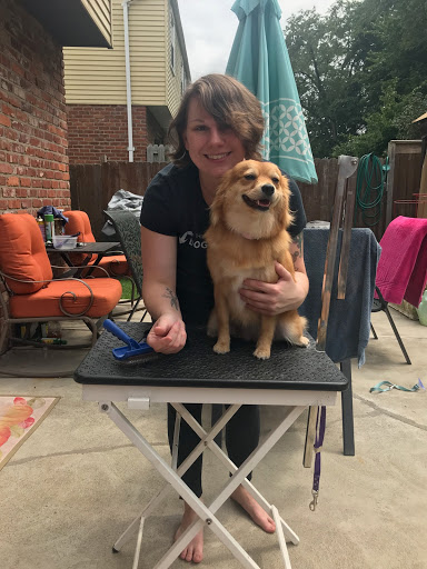 Keystone Canine Club | Rating: 4.7 | 34 Reviews | 5167 Brownsville Rd ...