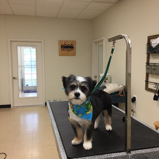 Pet Supplies Plus | Rating: 4.5 | 355 Reviews | 1825 NJ-35 unit 1 & 2 ...