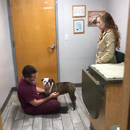 Humane Society of Missouri | Rating: 4.5 | 1253 Reviews | 1201 Macklind ...
