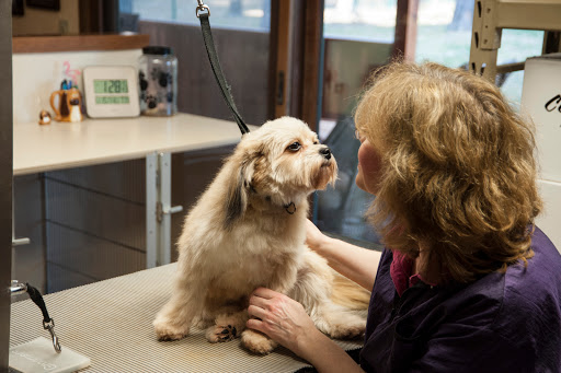 Countryside Veterinary Services of Fox Valley | Rating: 4.8 | 438 ...