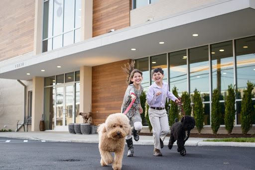 Olde Towne Pet Resort | Rating: 4.4 | 170 Reviews | 12230 Wilkins Ave ...